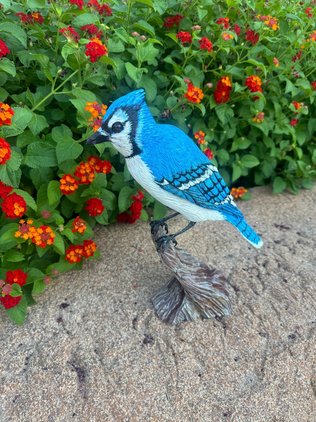 Hand Carved Wooden Blue Jay Life Size - Etsy