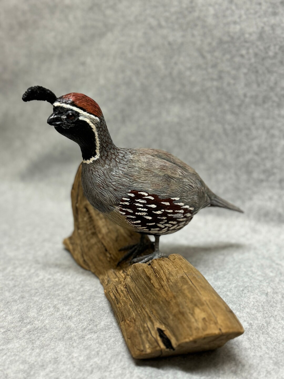 Hand Carved Wooden Gambel's Life Size Quail - Etsy