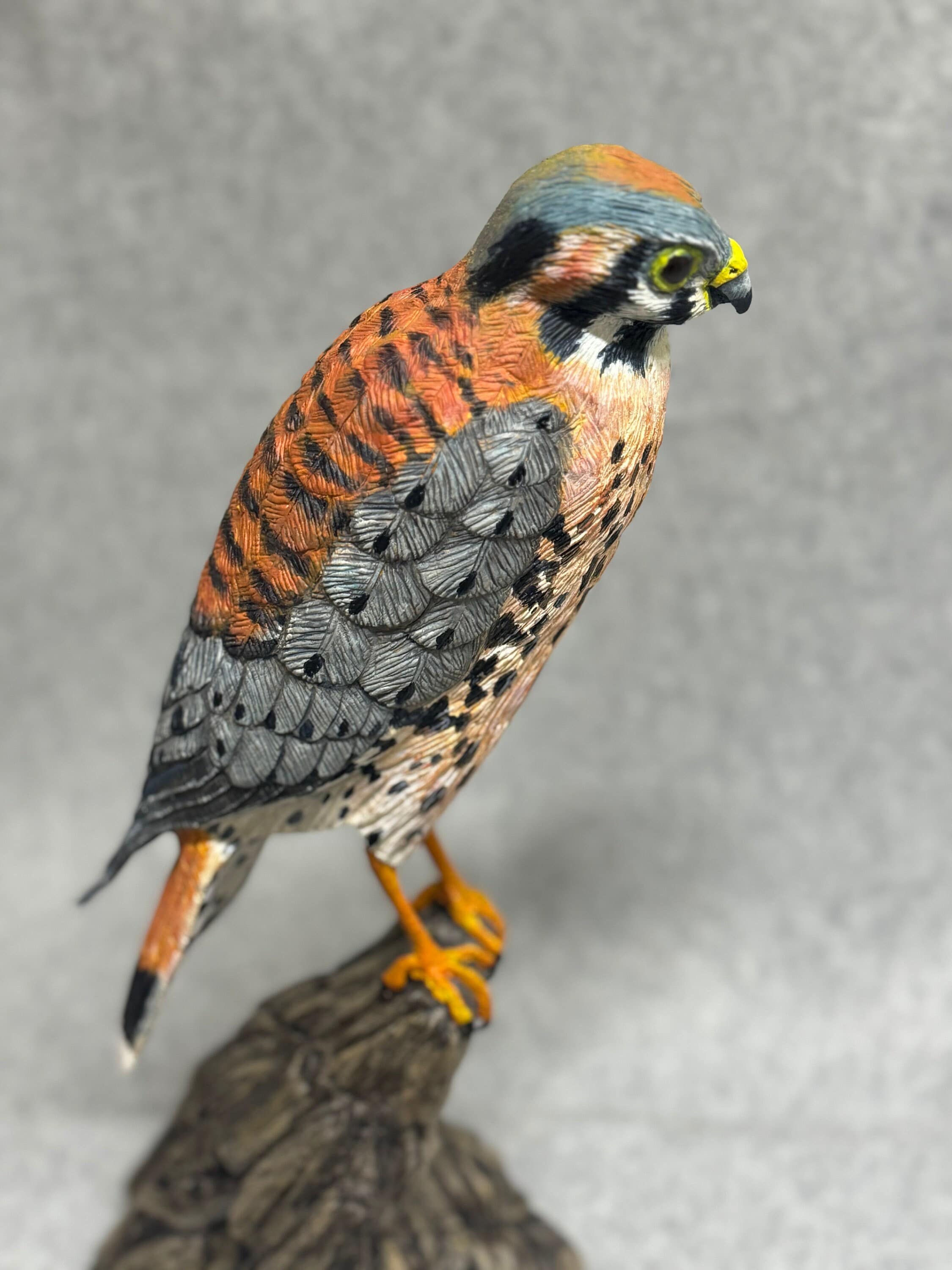 Hand Carved Wooden American Kestrel Hawk/life Size/ Sparrow Hawk ...