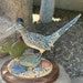 Hand Carved Roadrunner/life Size - Etsy