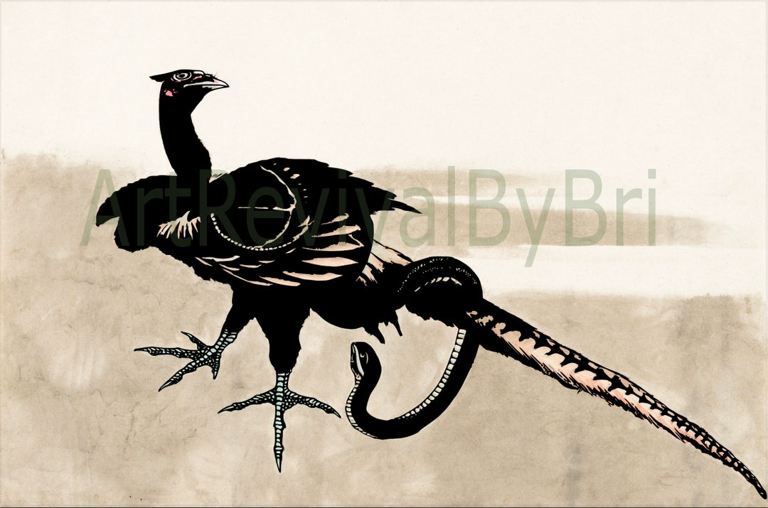 Japanese Pheasant and Snake Digital Art - Etsy