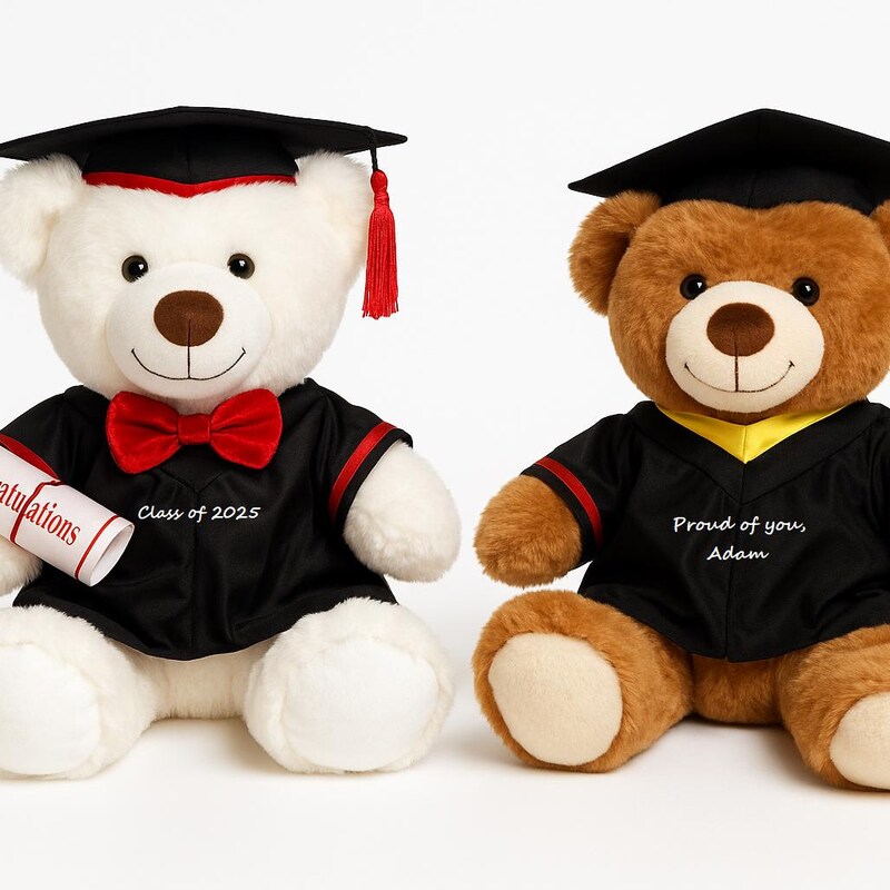 Graduation Bear School - Etsy