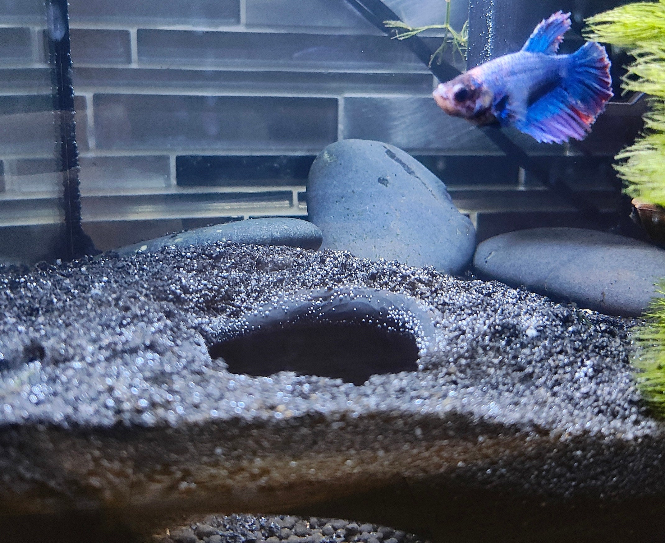 Aquarium Underground Cave With Viewing Windows - Etsy