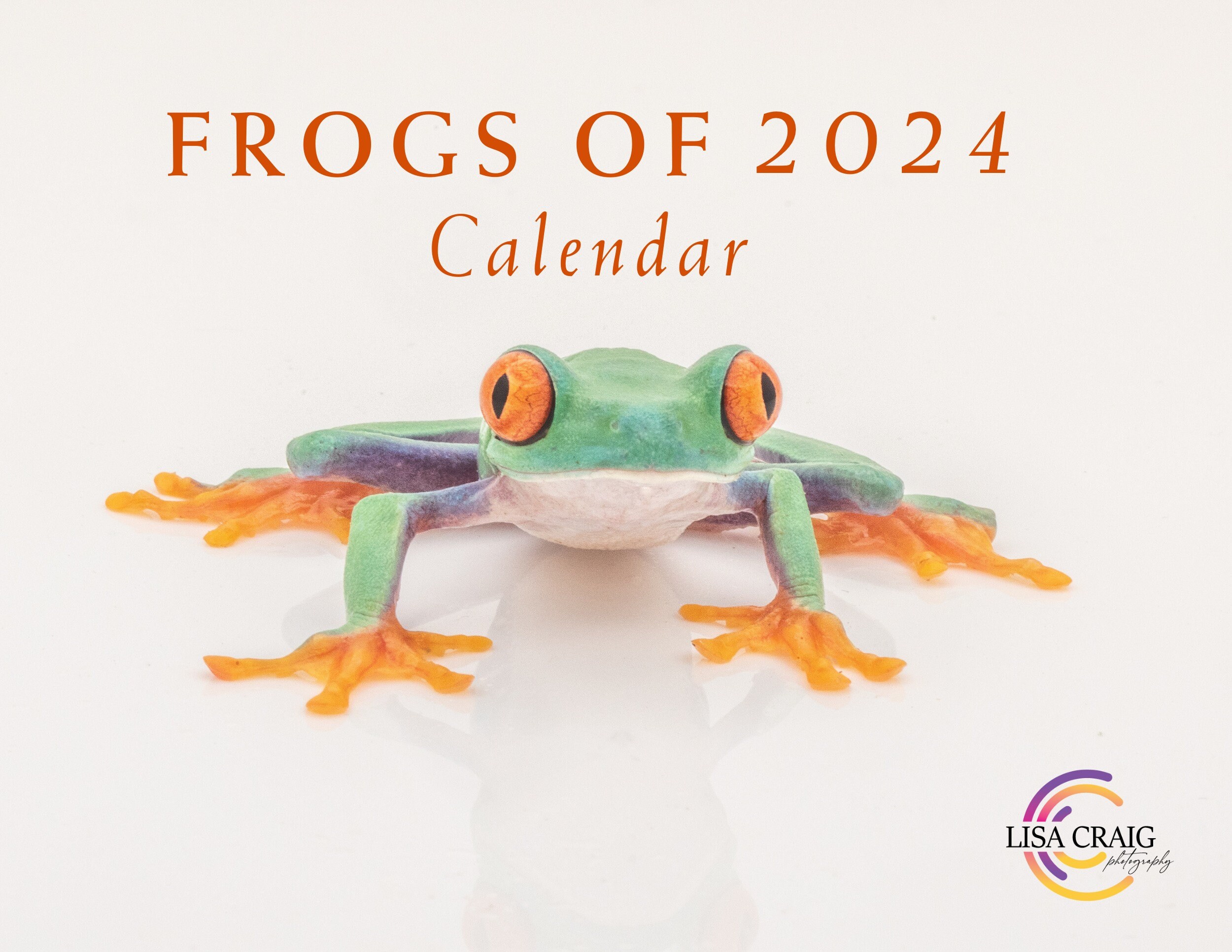 Frogs of 2024 Calendar - Etsy
