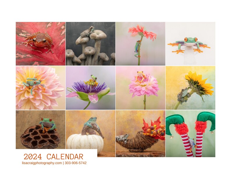 Frogs of 2024 Calendar - Etsy