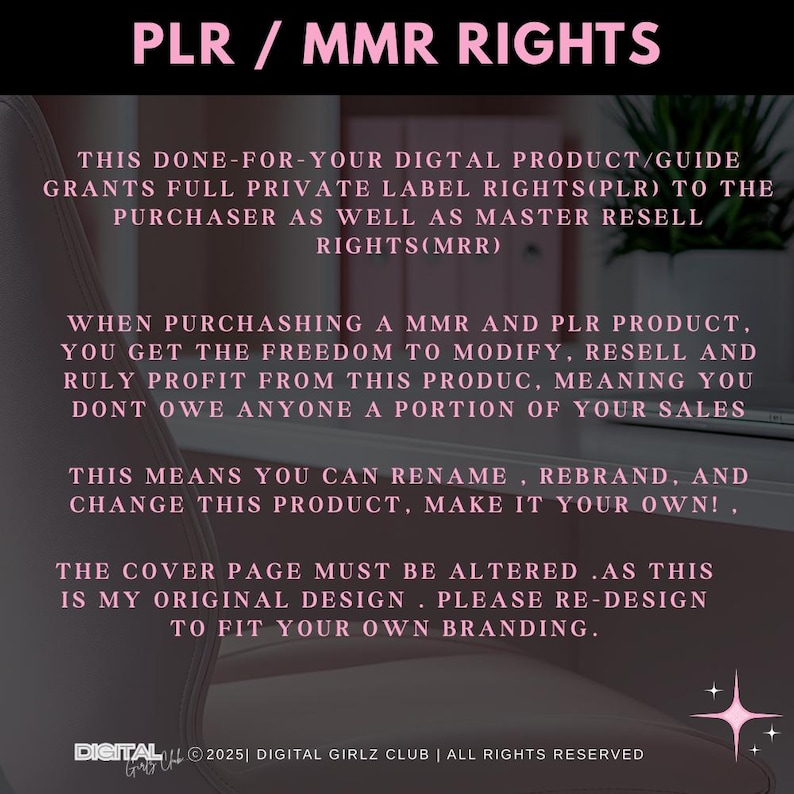 Business Credit Ebook With PLR -MRR | Editable Canva Template | Start/grow Business Credit Fast ...