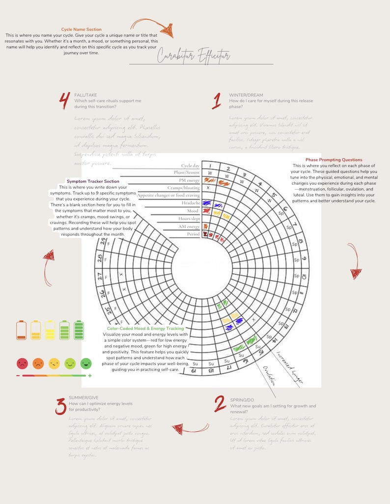 Personalizable Period Tracker Wheel | Cycle Awareness Symptom Tracker ...