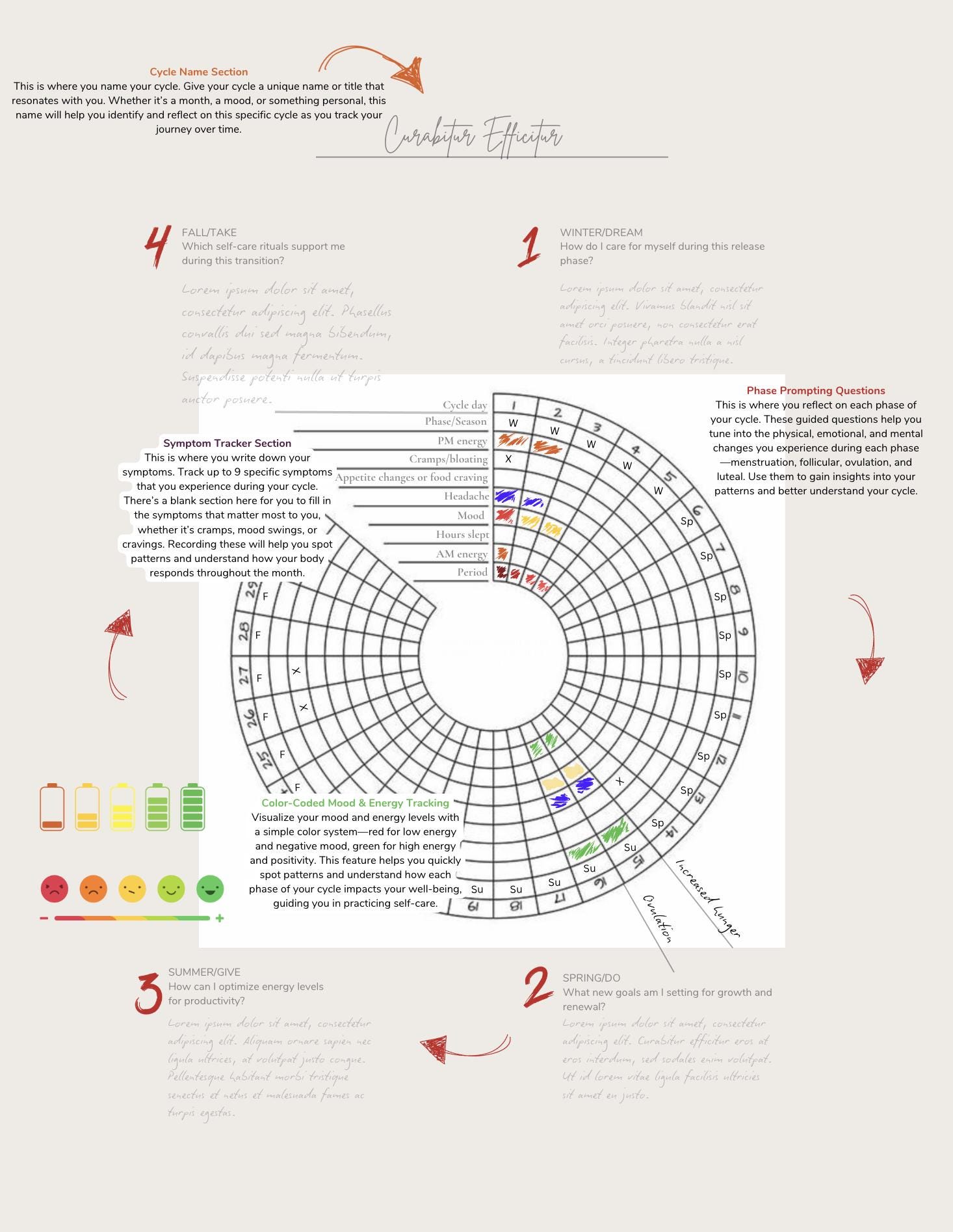 Personalizable Period Tracker Wheel | Cycle Awareness Symptom Tracker ...