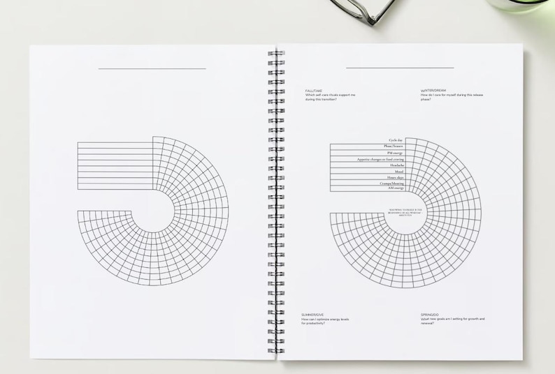Personalizable Period Tracker Wheel | Cycle Awareness Symptom Tracker ...