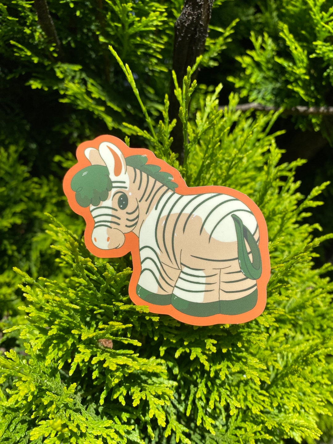 Shy Zebra Sticker, Animal Illustration, Matte Vinyl - Etsy