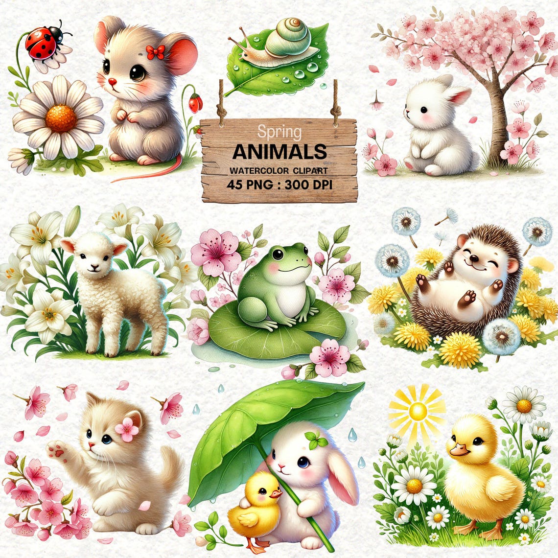 Spring Animals Watercolor Clipart Set – 45 Adorable Hand Painted Pngs ...