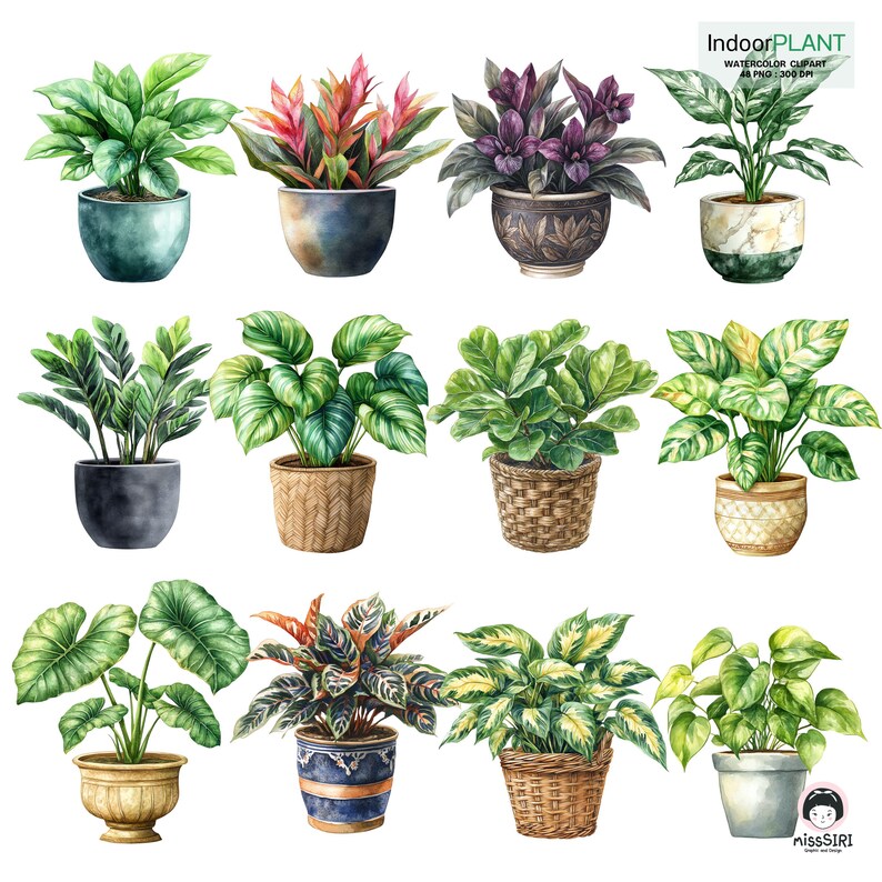 Indoor Plant Watercolor Clipart – 48 PNG Lush Greenery, Potted ...