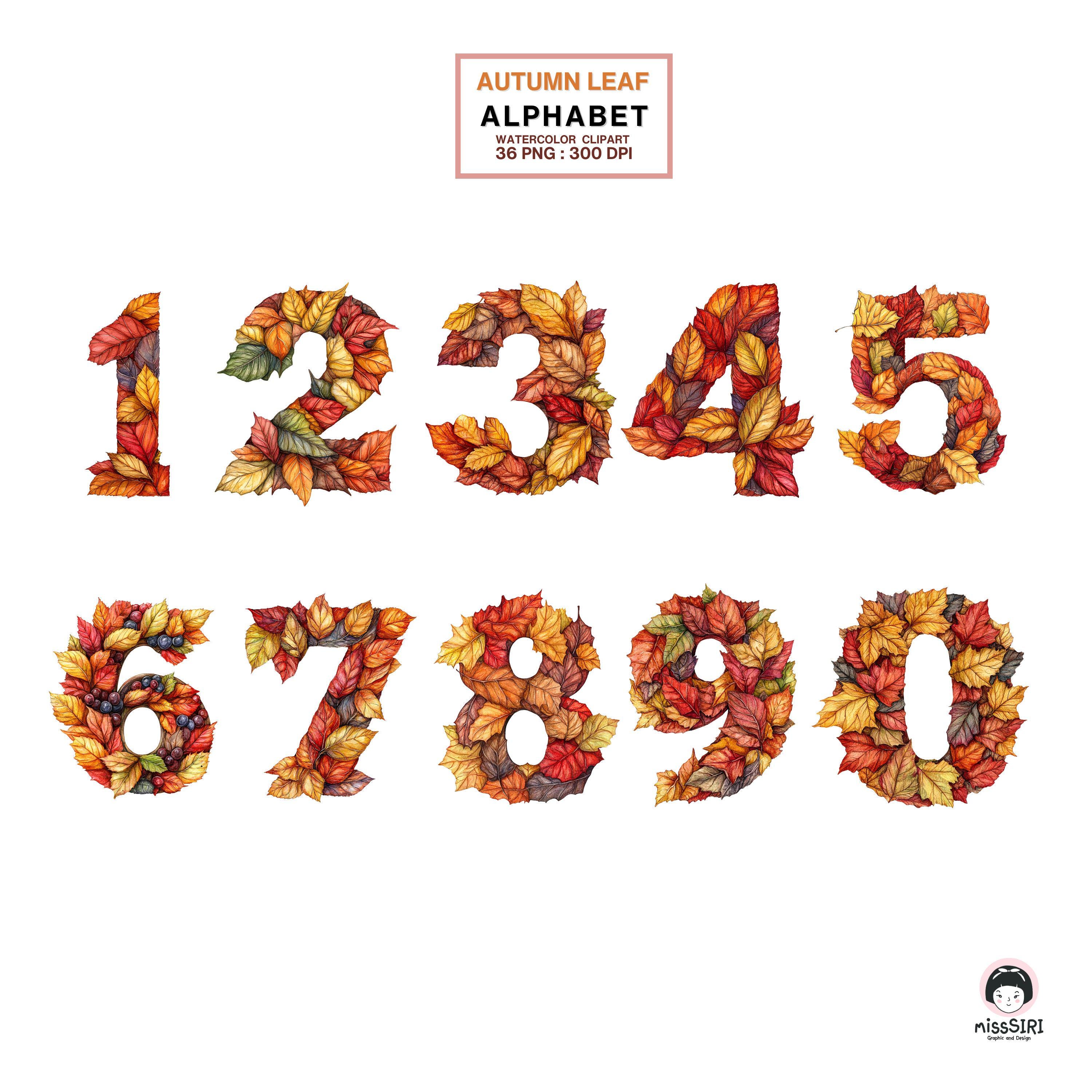Autumn Leaf Alphabet Clipart | 36 Watercolor Fall Letters and Numbers ...