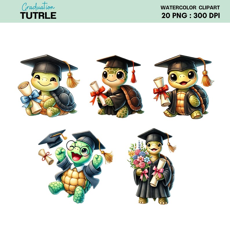 Graduation Turtle Clipart Bundle | 20 Watercolor Pngs With Caps ...