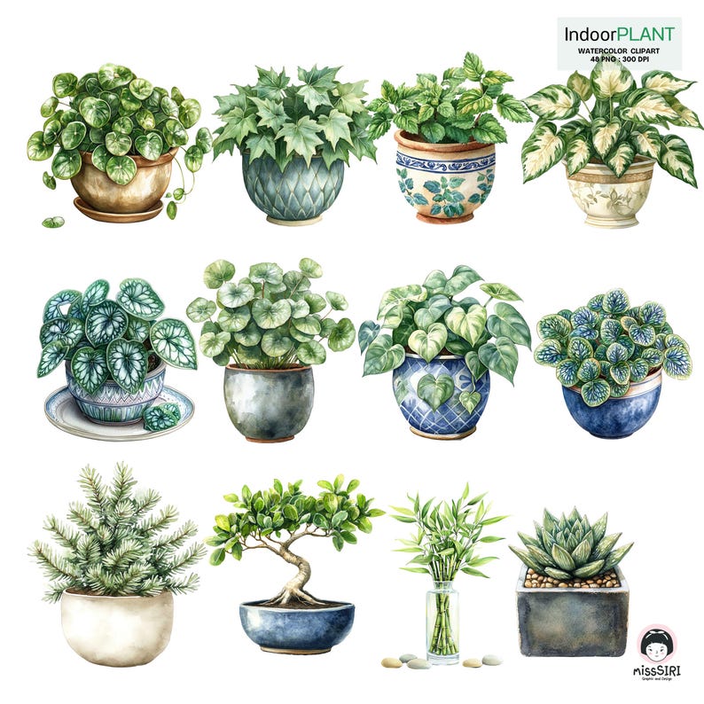 Indoor Plant Watercolor Clipart – 48 PNG Lush Greenery, Potted ...