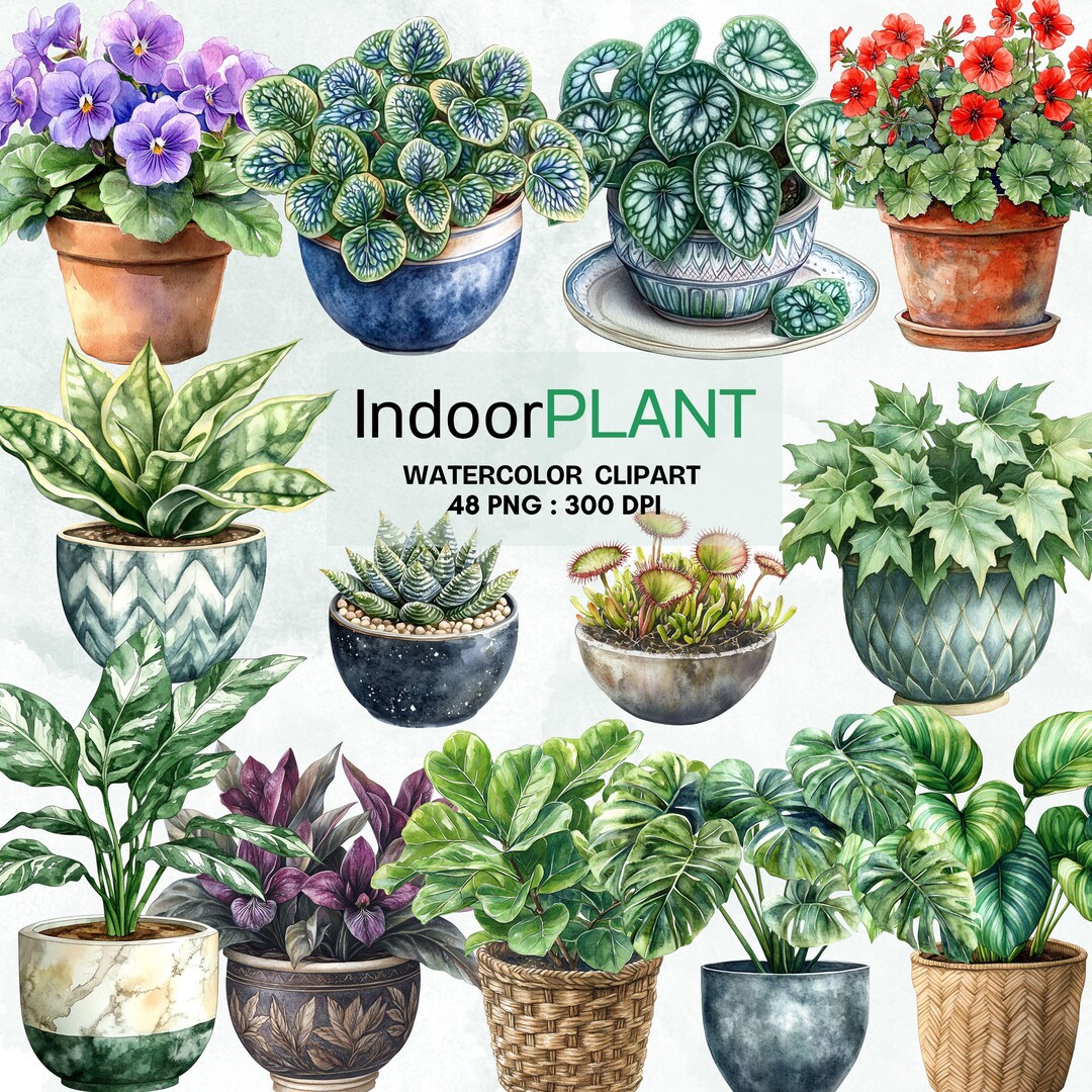 Indoor Plant Watercolor Clipart – 48 PNG Lush Greenery, Potted ...