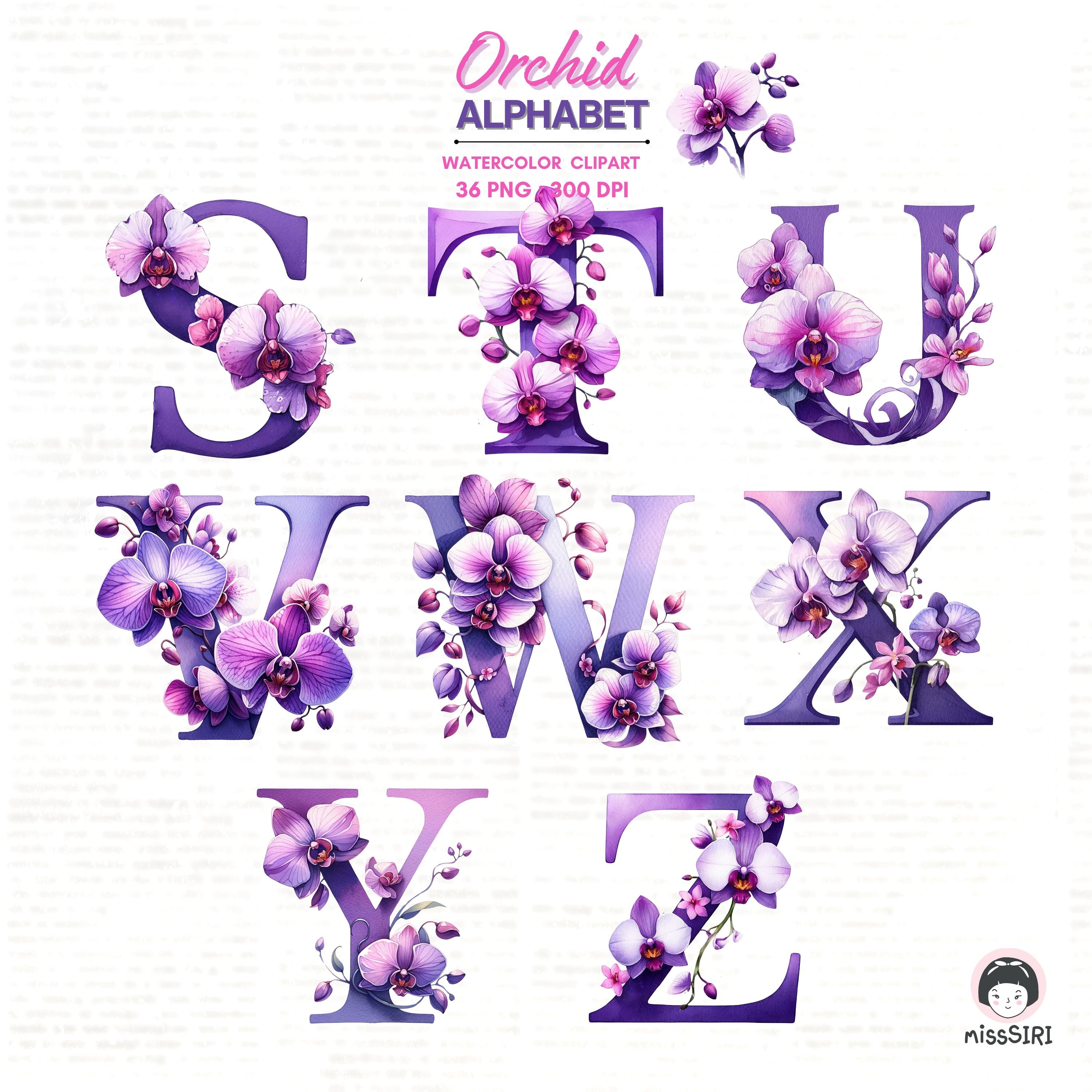 Botanical Watercolor Alphabet - Orchid Floral Letters Art - Etsy