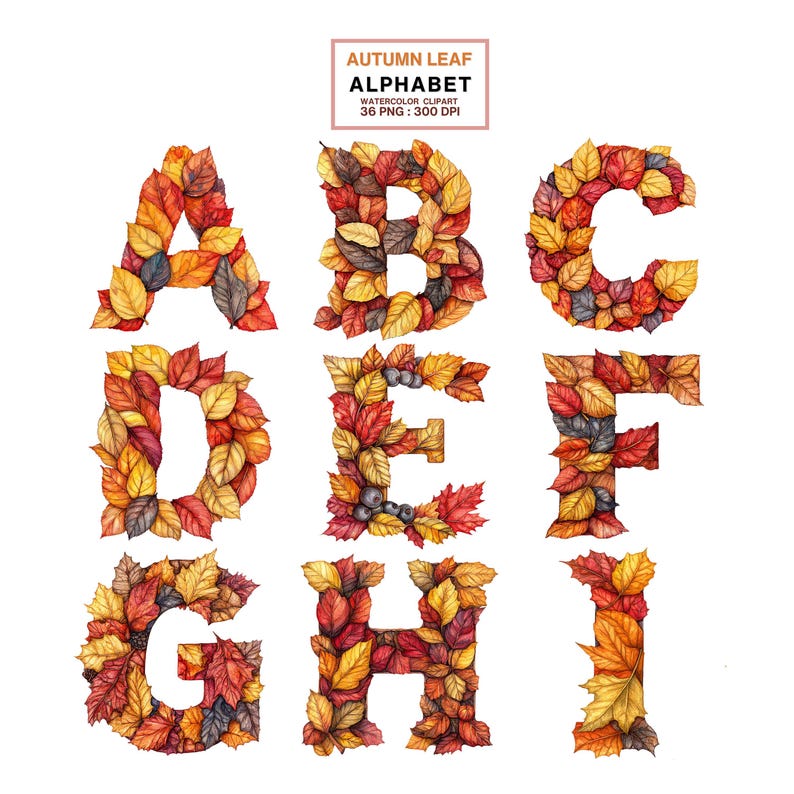 Autumn Leaf Alphabet Clipart | 36 Watercolor Fall Letters and Numbers ...