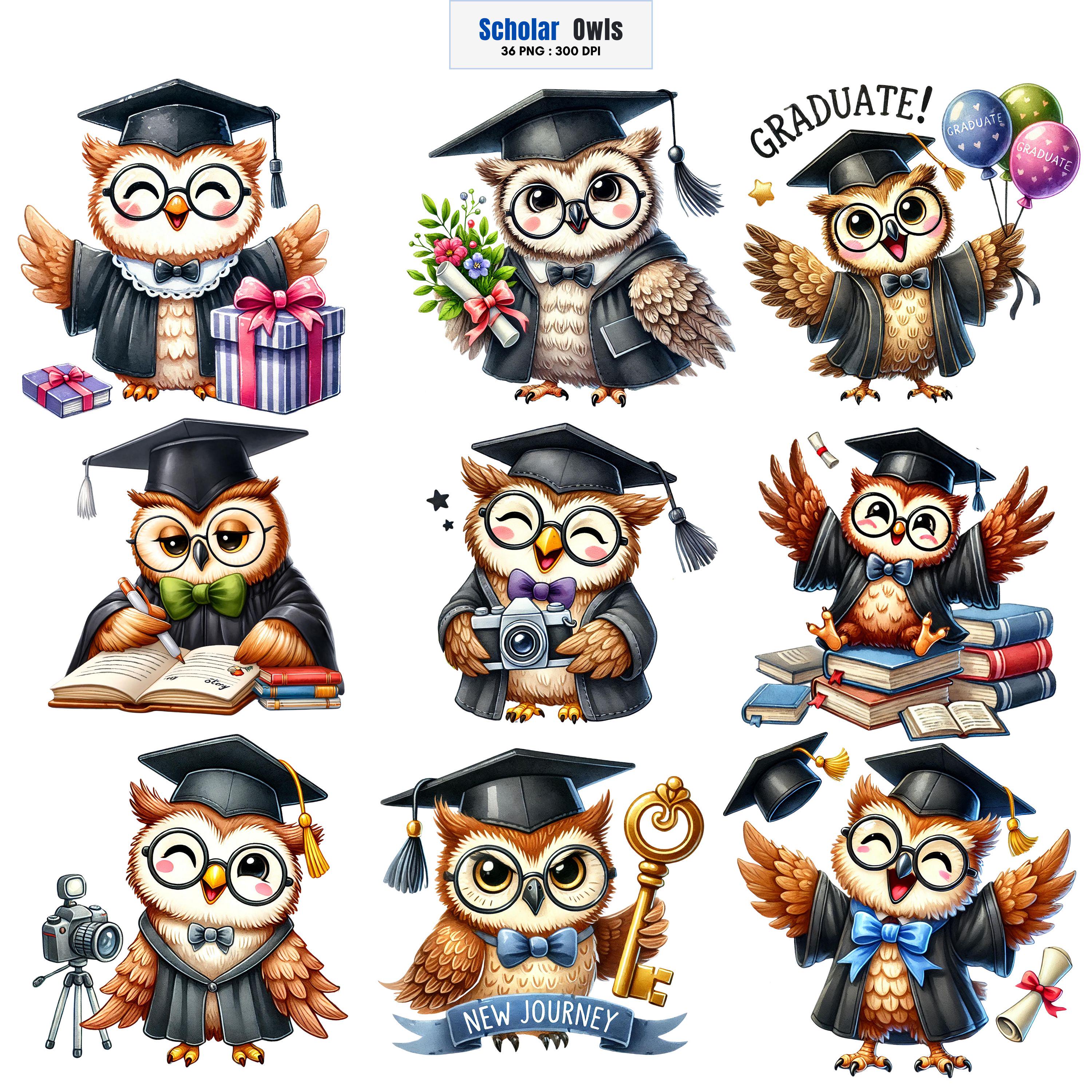 Scholar Owl Graduation Clipart Bundle – 36 Watercolor Pngs Featuring ...