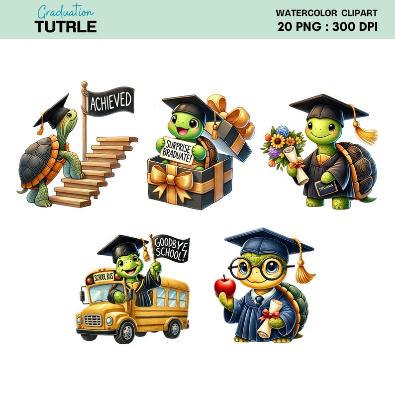 Graduation Turtle Clipart Bundle | 20 Watercolor Pngs With Caps ...