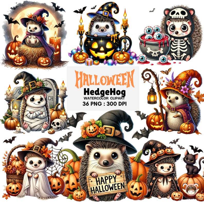 Halloween Hedgehog Clipart Set | 36 Watercolor Pngs of Cute Hedgehogs ...