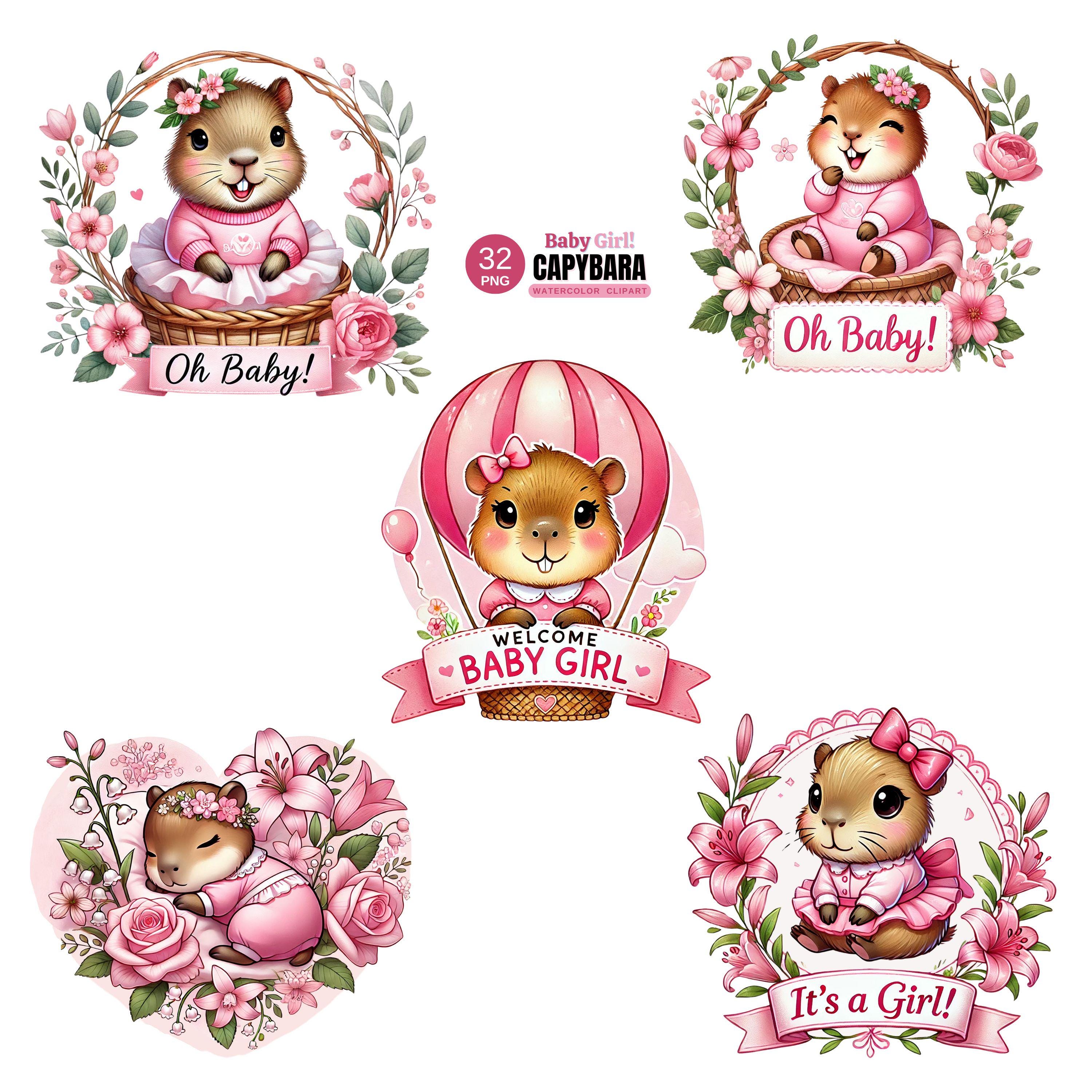 Baby Girl Capybara Watercolor Clipart Set – 32 PNG Files for Baby ...