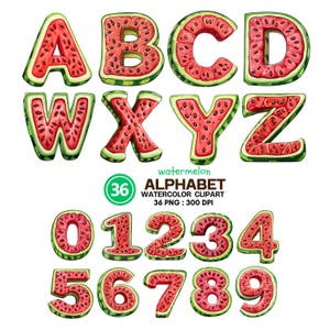 Watermelon Alphabet Clipart Set | 36 Watercolor Pngs of Juicy Letters ...