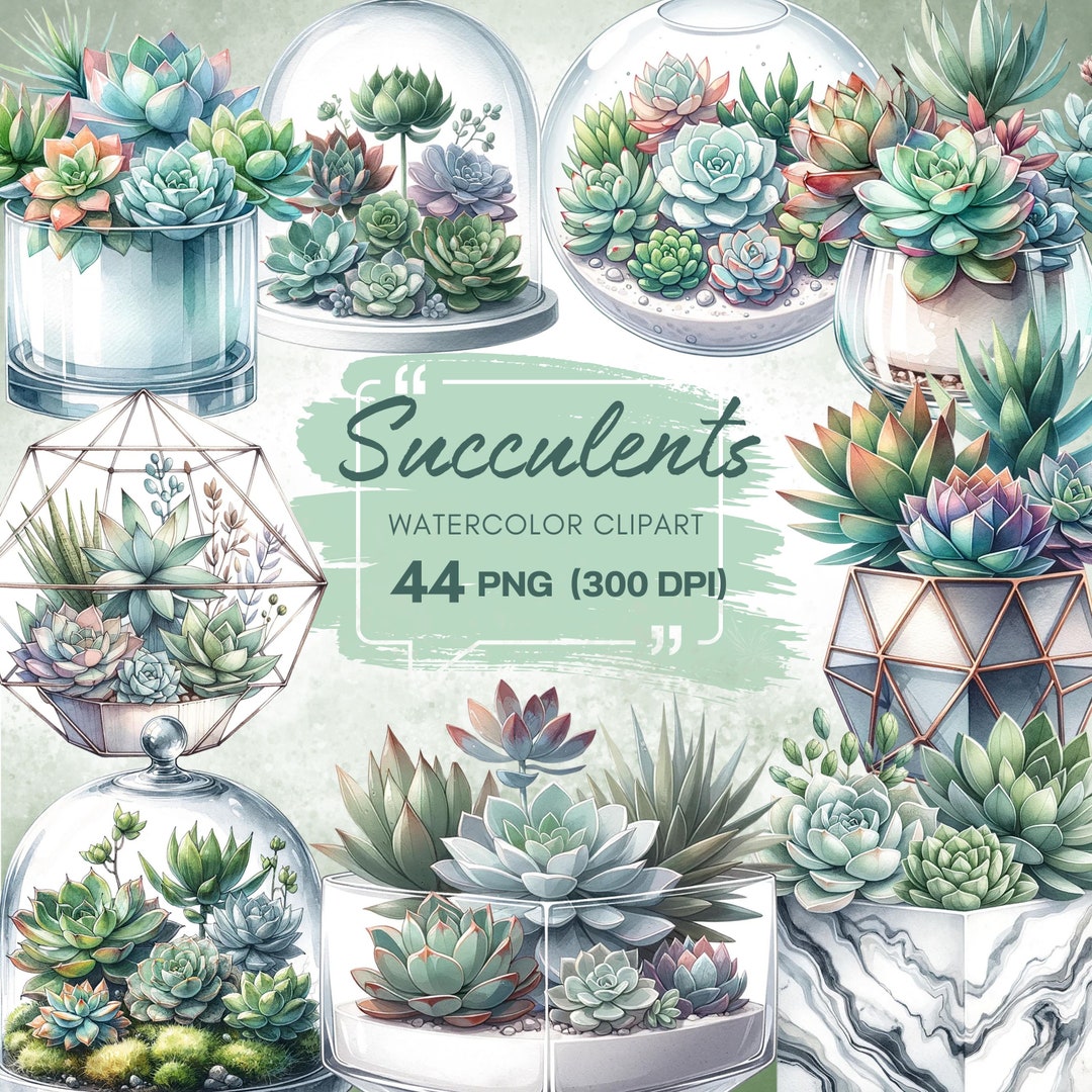 44 Watercolor Succulent Clipart PNG Bundle - Etsy