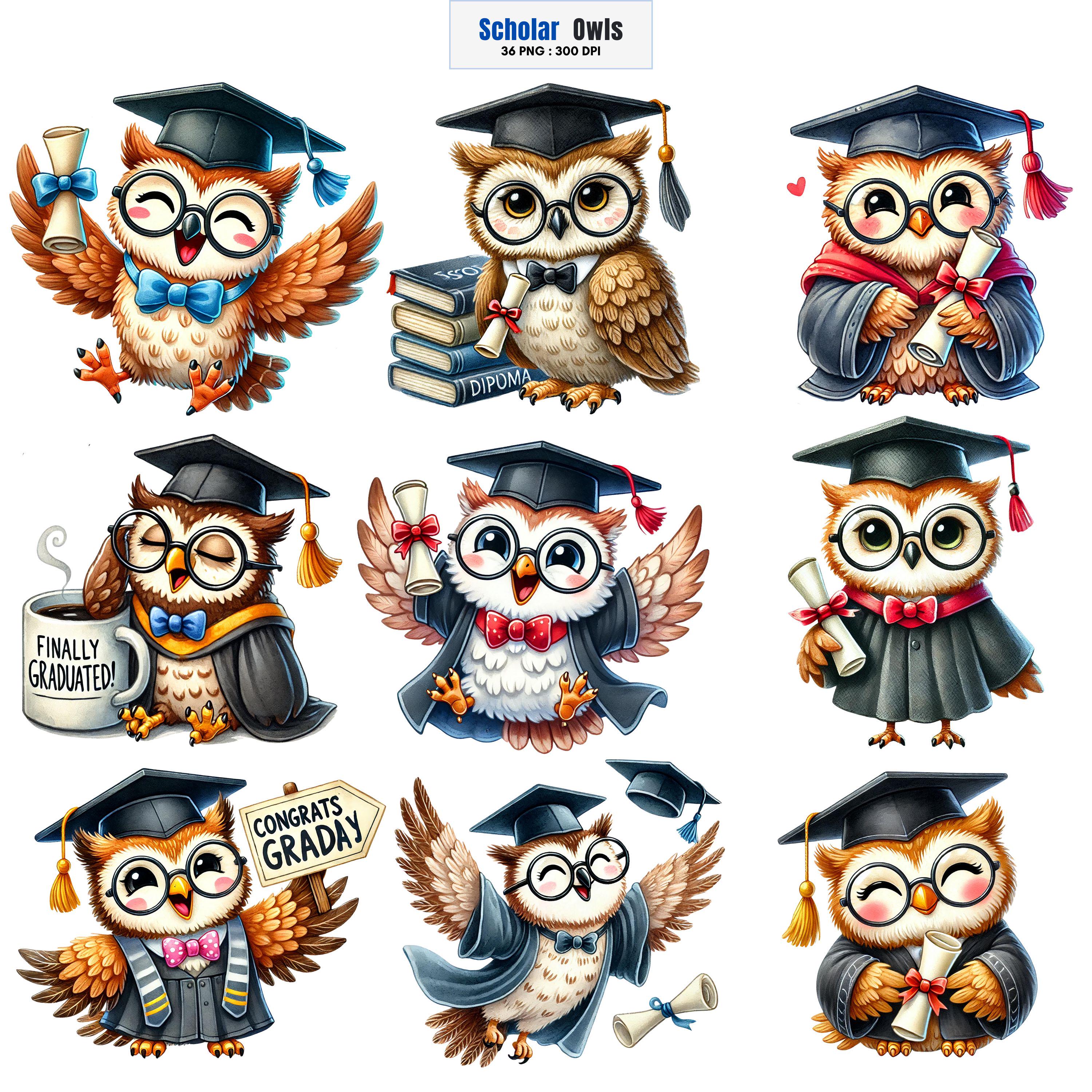 Scholar Owl Graduation Clipart Bundle – 36 Watercolor Pngs Featuring ...