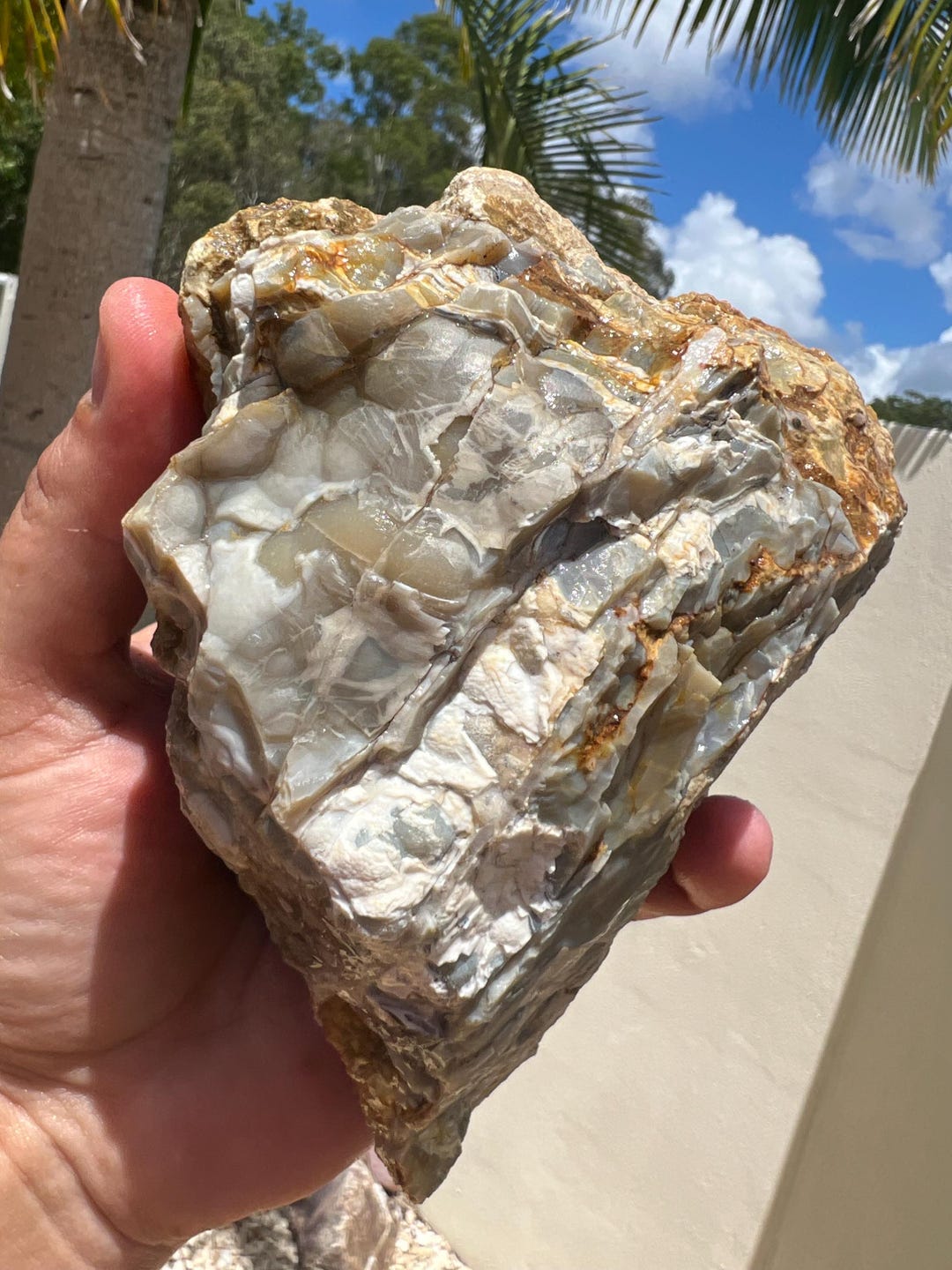 Australian Rough Thunderegg Botryoidal Druzy Conglomerate Chunk ...