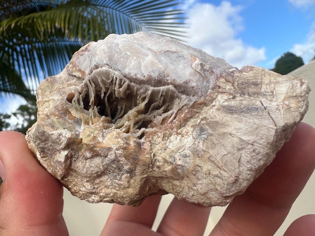 Australian Rough Thunderegg Botryoidal Druzy & Quartz Chunk 240 Grams ...
