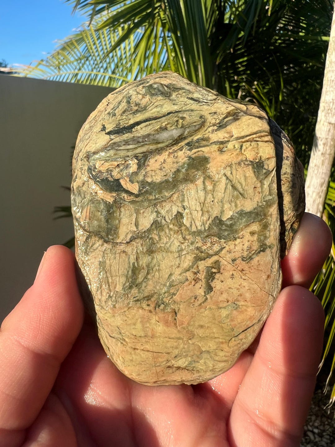 Australian Rough Green Phyllite Silicified Chalcedony 170 Grams Natural ...