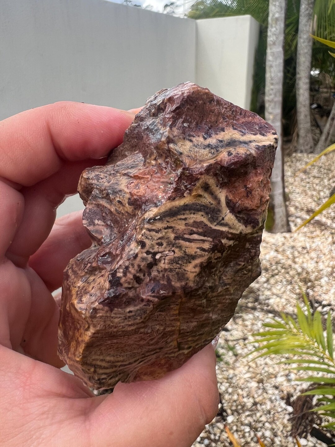 Australian Rough Rhyolite Banded Chunk 288 Grams Rhyolite Natural Raw ...