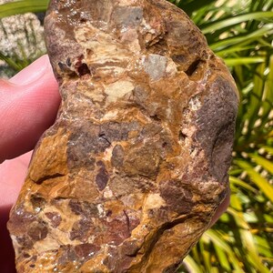 Australian Rough Rhyolite Chunk 240 Grams Natural Raw Specimen ...