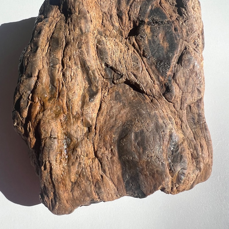 Opal Fossil - Etsy