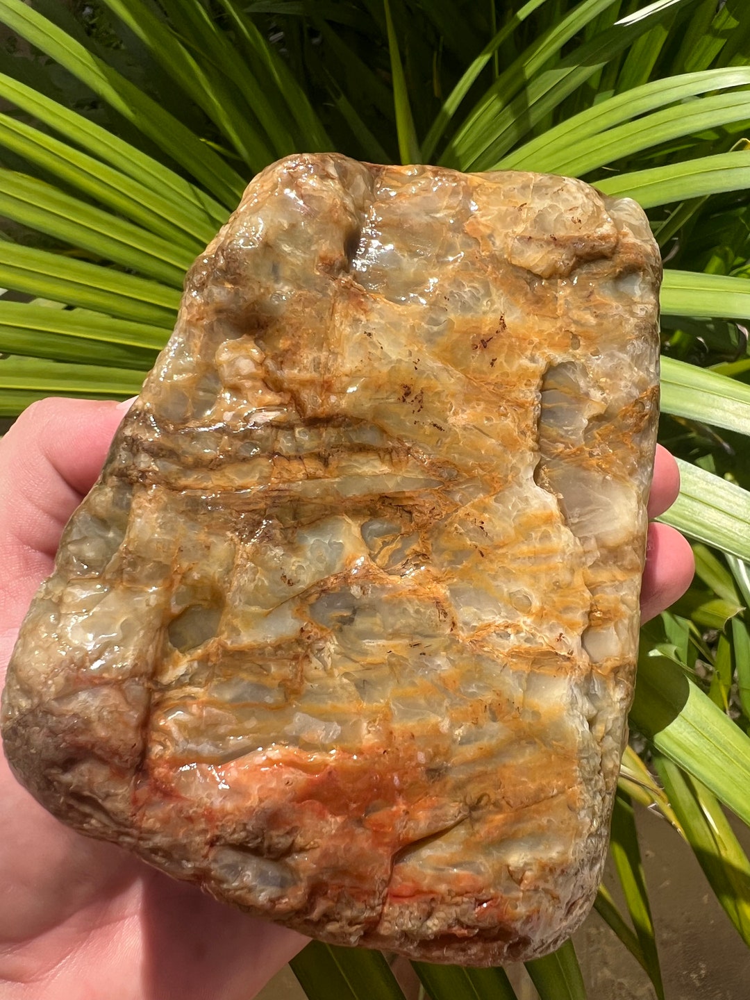 Australian Rough Agate 1320 Grams Natural Agate Specimen Collector ...