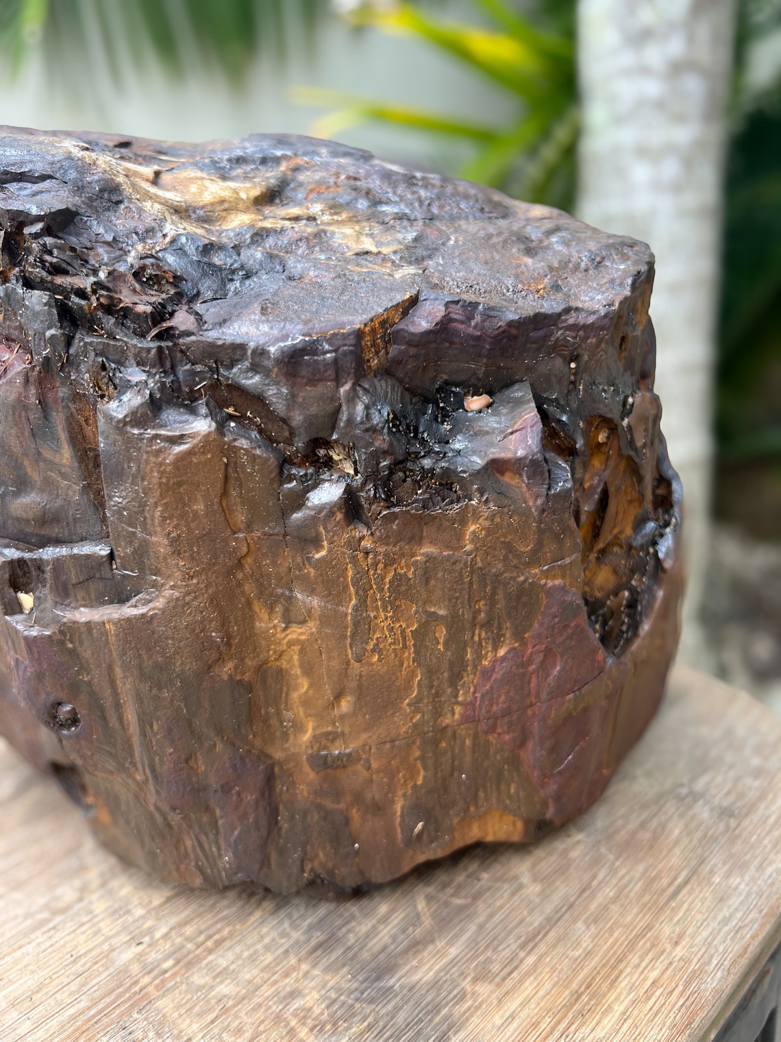 Australian Opalized Petrified Log Fossil Plus Heavy Hematite 18.4 ...
