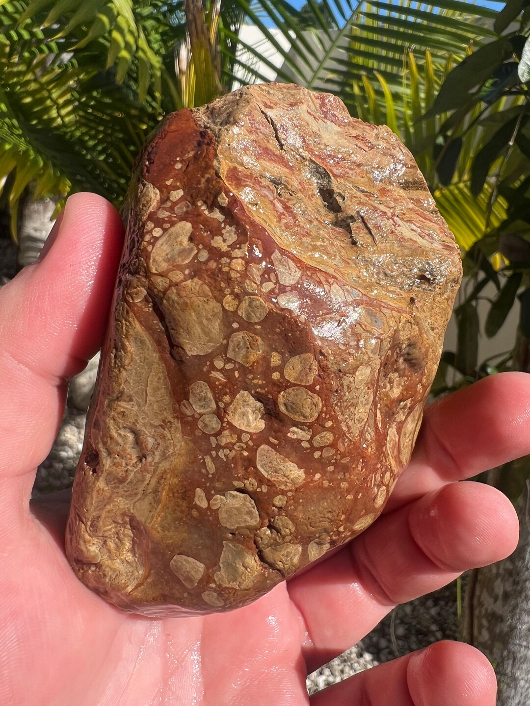 Australian Rough Breccia Rhyolite Chunk 522 Grams Natural Raw Specimen ...