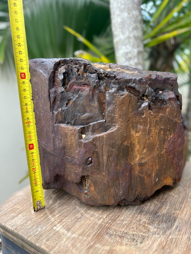 Australian Opalized Petrified Log Fossil Plus Heavy Hematite 18.4 ...