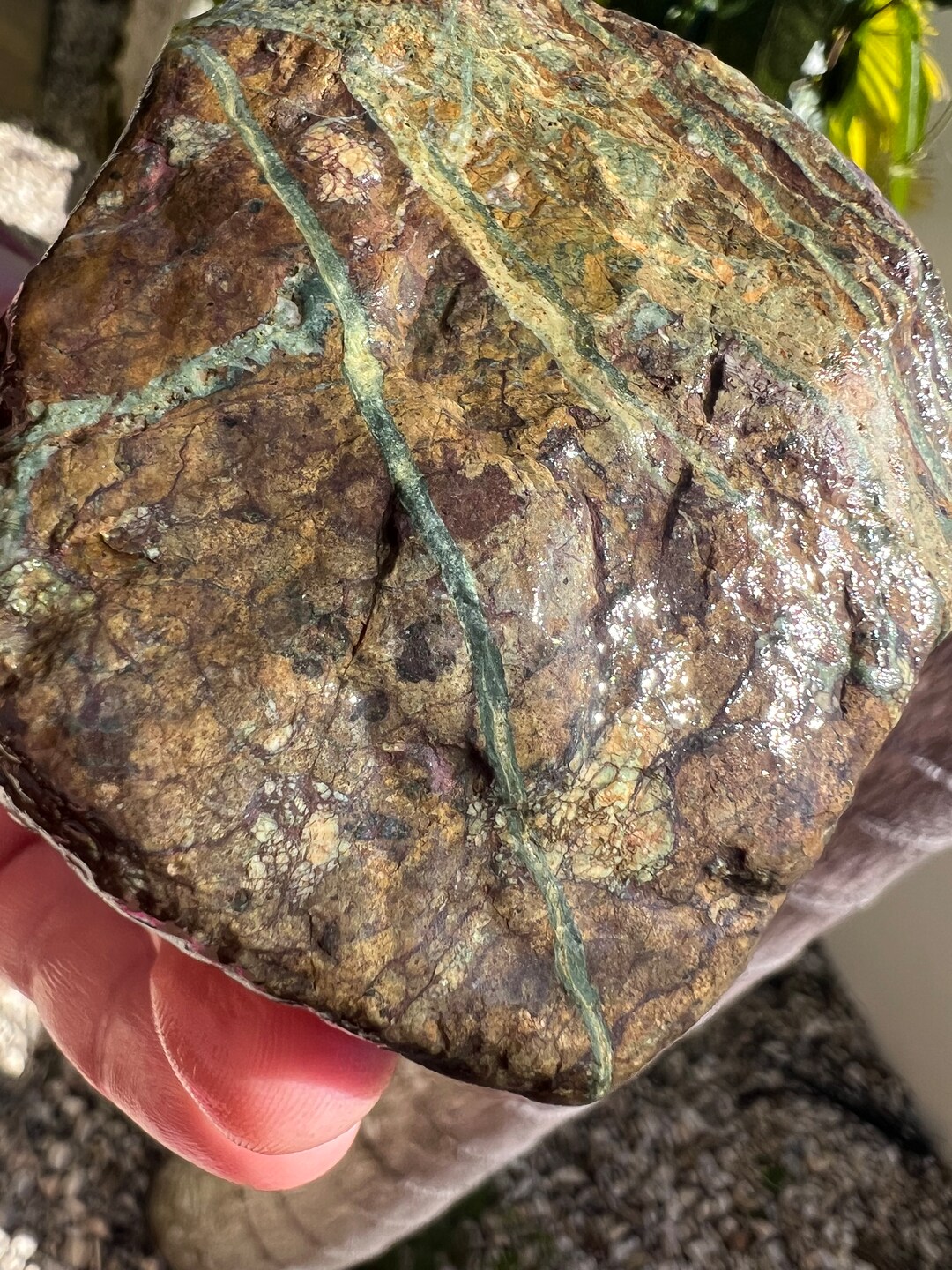 Australian Rough Rainforest Rhyolite Chunk 320 Grams Natural Raw ...