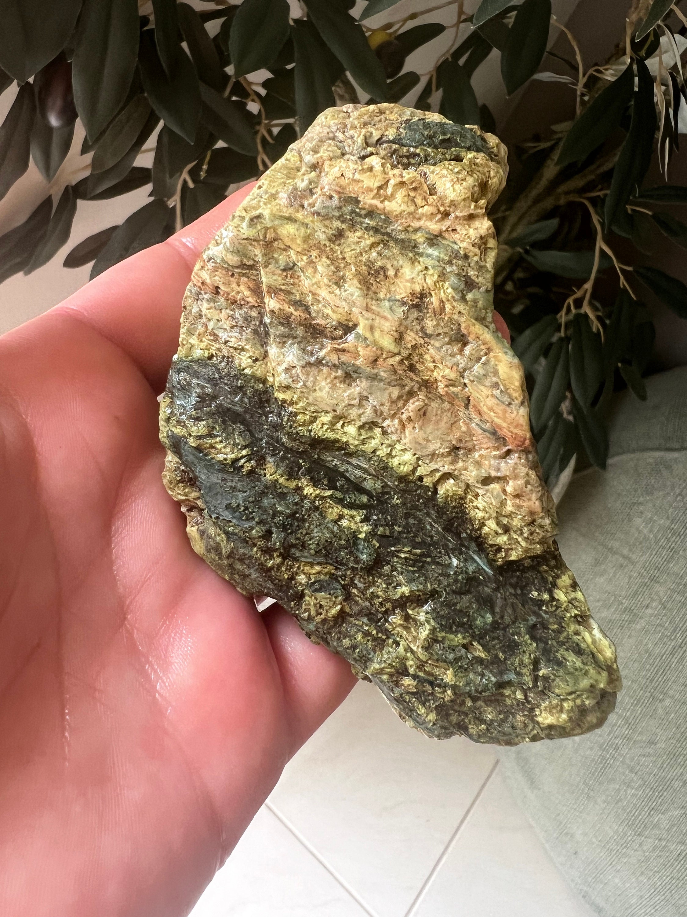 Australian Rough Chert in Phyllite Chunk 324grams Natural Raw Specimen ...