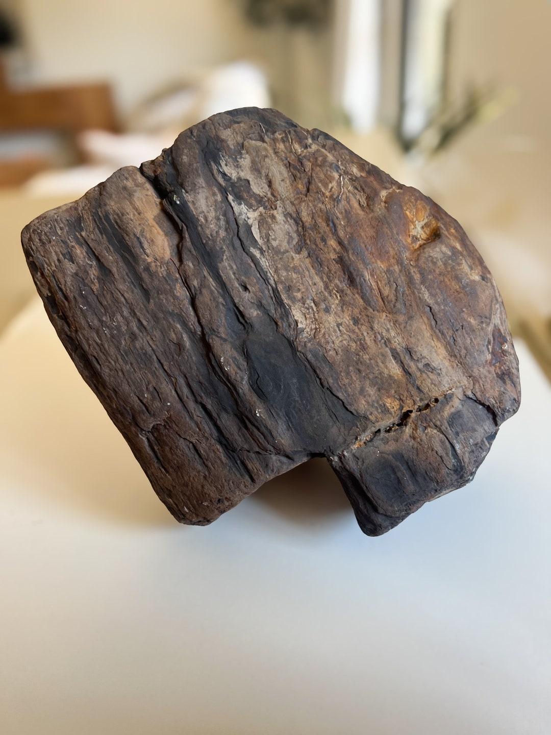 Australian Large Petrified Wood Fossil 6360 Grams Rock Collectors Rough ...