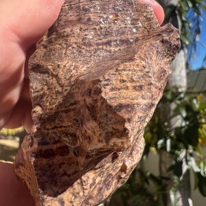 Australian Rough Rhyolite Chunk 310 Grams Natural Raw Specimen ...