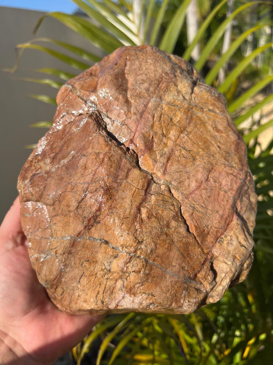 Australian Rough Brecciated Quartz Vein Jasper Boulder 4900 Grams ...