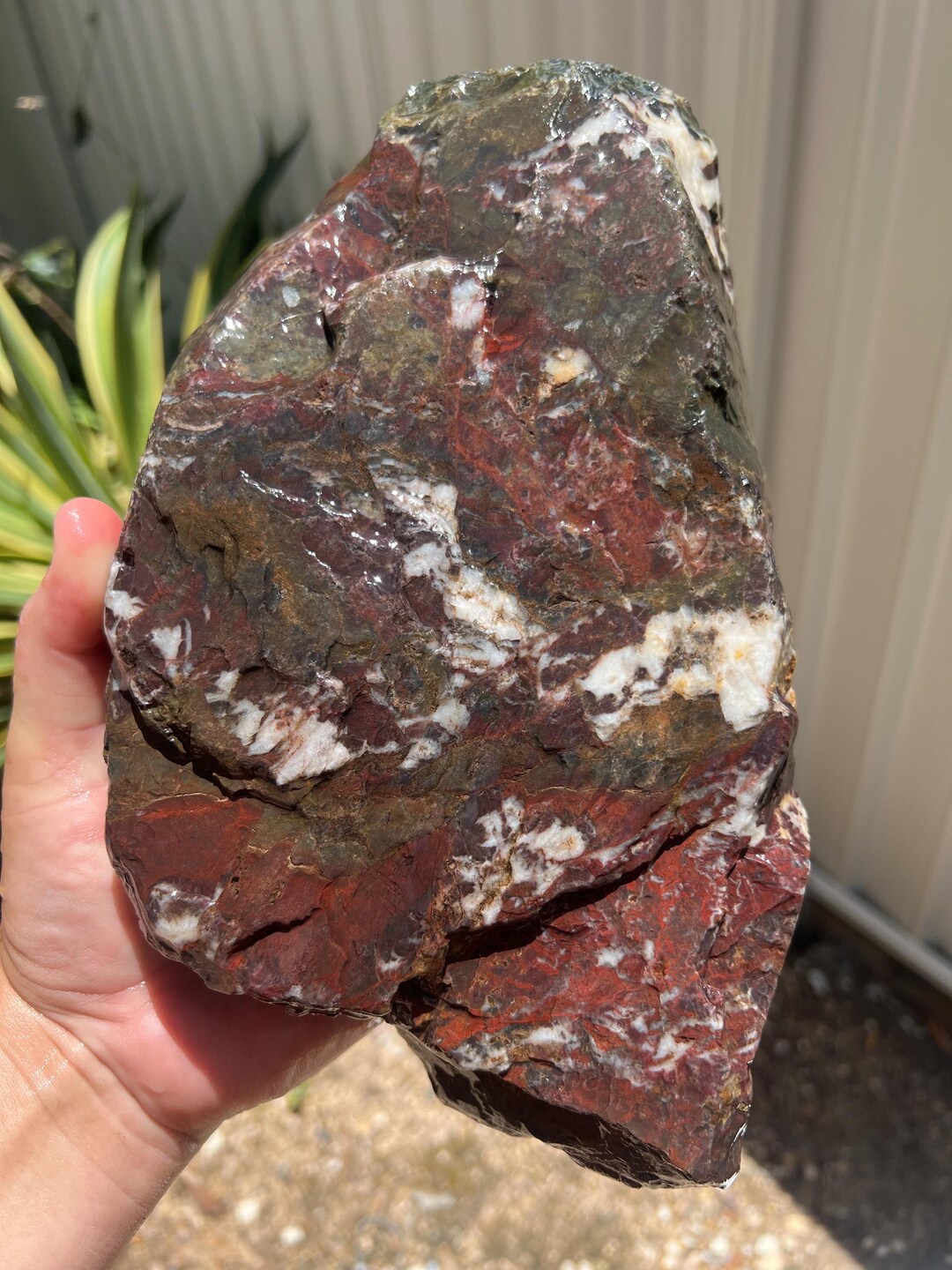 Australian Rough Brecciated Jasper Chalcedony Boulder 4330 Grams ...