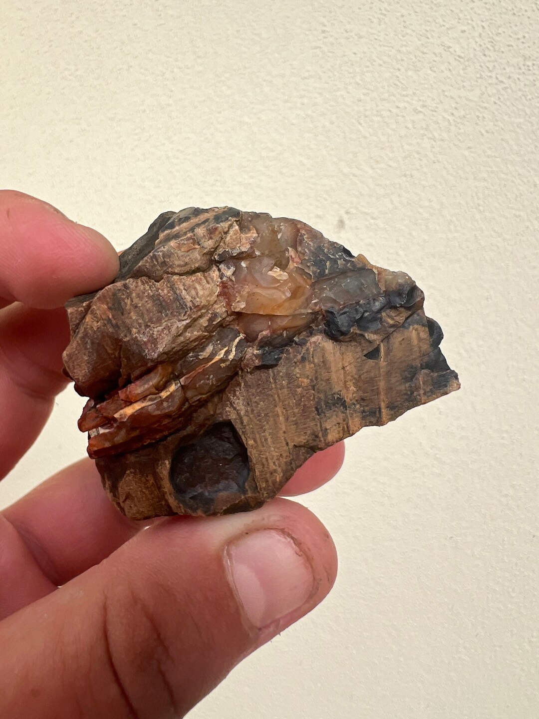 Australian Rough Opalized Petrified Wood Fossil 82 Grams Fossil Quality ...