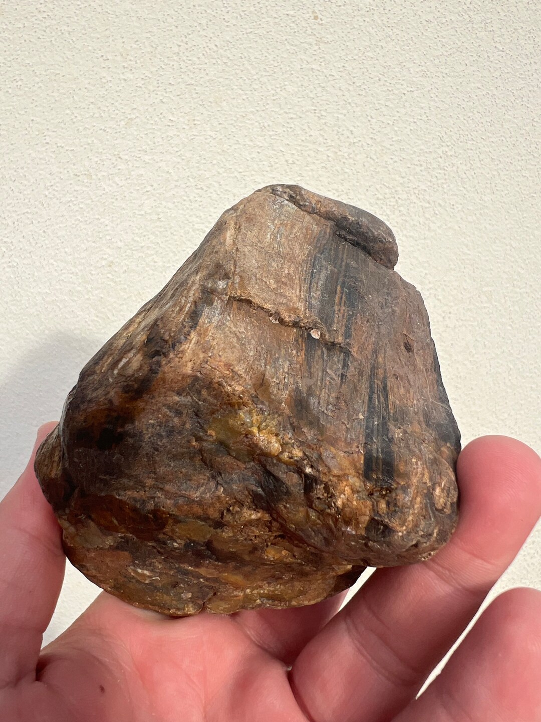 Rare Australian Opalized Petrified Wood Fossil 840 Grams Rock ...