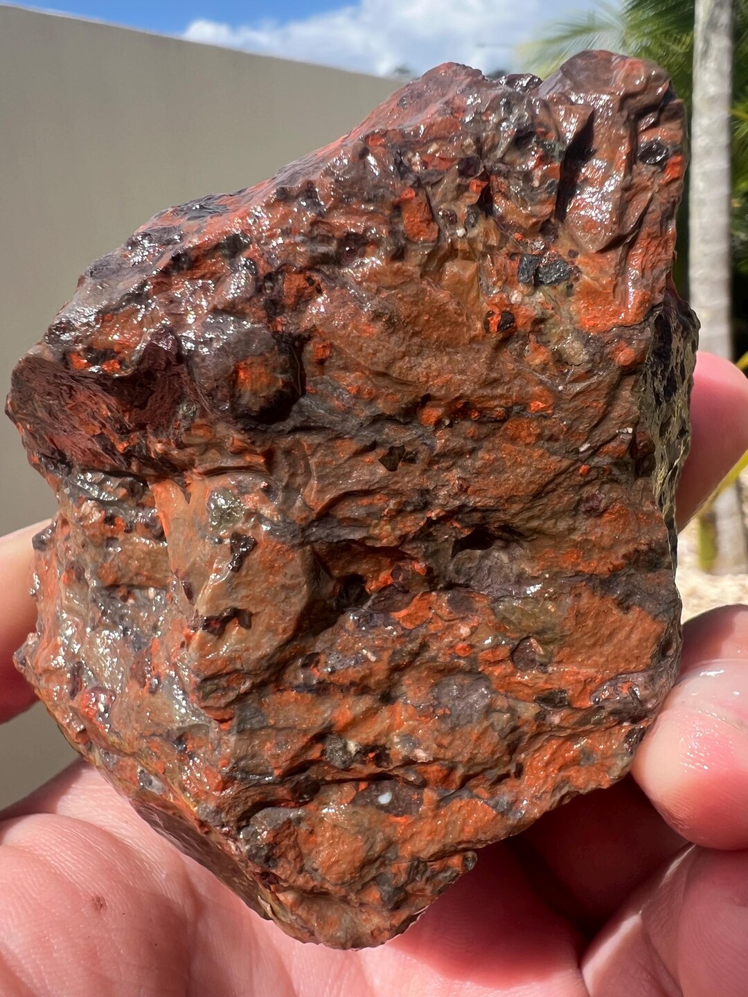 Australian Rough Rhyolite Breccia Chunk 330 Grams Natural Raw Specimen ...