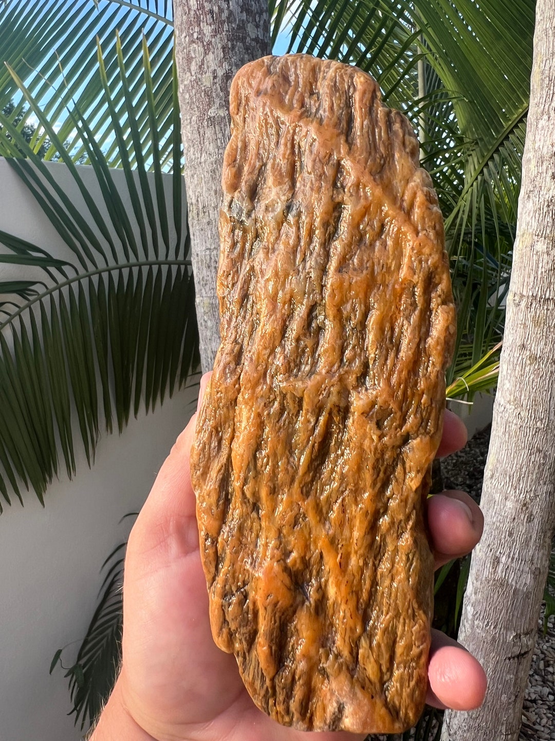 Australian Rough Agatized Schist Silicified 1339 Grams Natural Raw ...