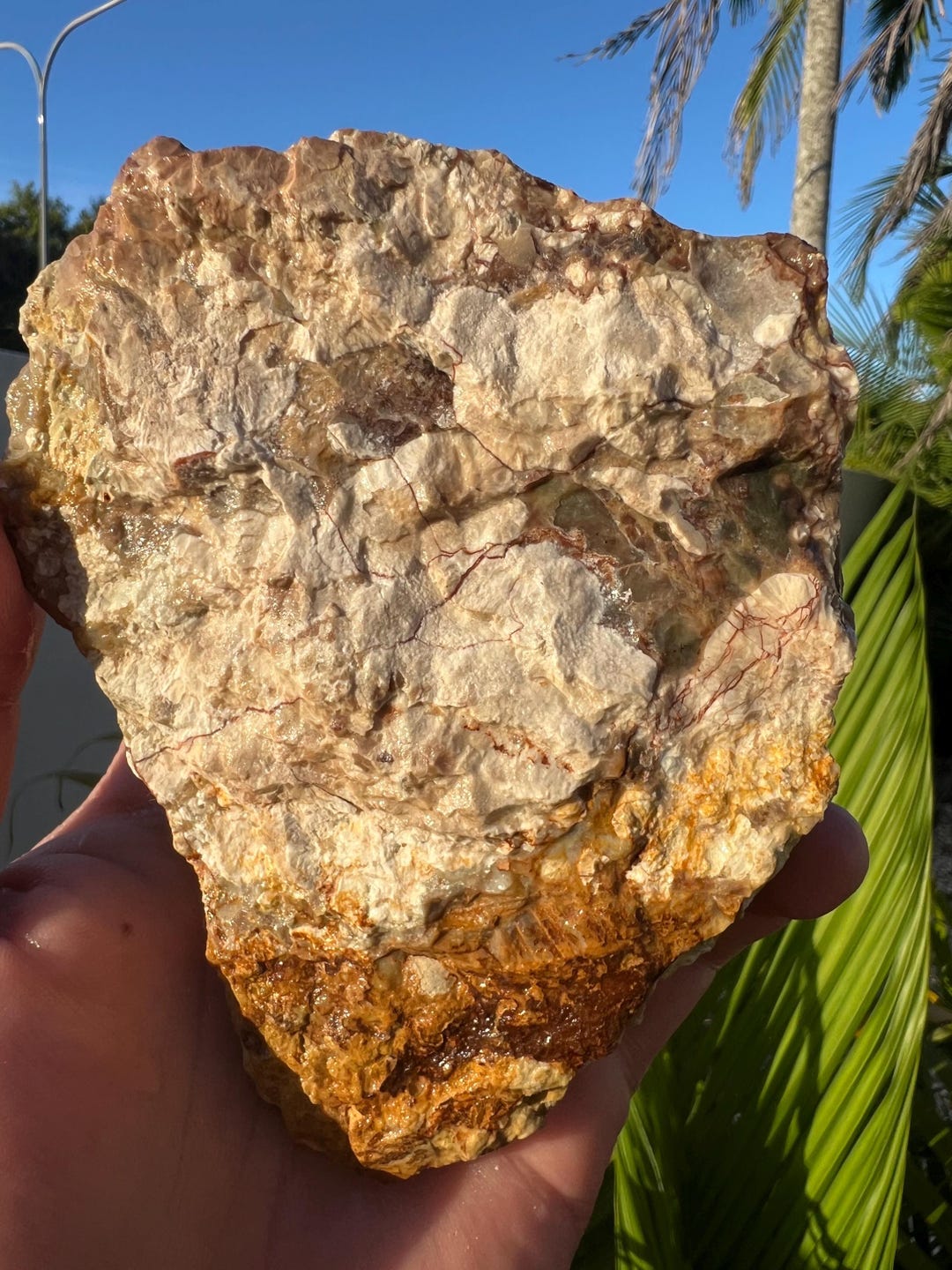 Australian Rough Thunderegg Conglomerate Chunk Specimen 370 Grams ...